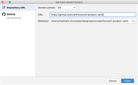 how to use git for salesforce development within intellij idea