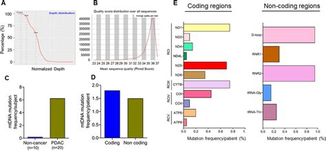Mutation Analysis Of Mitochondrial Dna A Depth Of Mtdna Sequencing