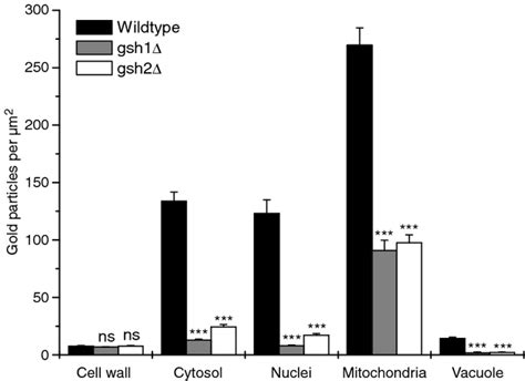 Subcellular Distribution Of Glutathione In The Glutathione Deficient