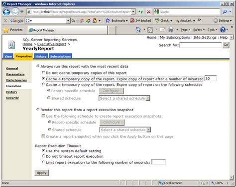 speed up reports in sql server reporting services with caching