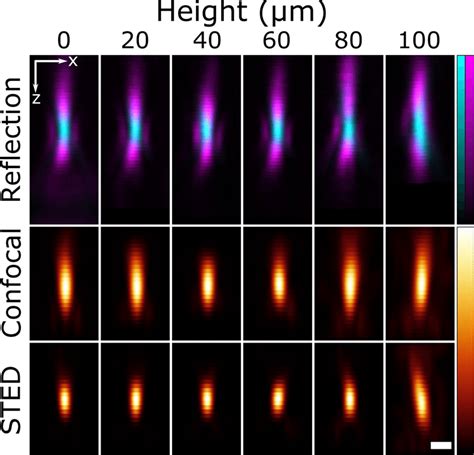 Confocal And Z Sted Point Spread Functions At Different Distances From