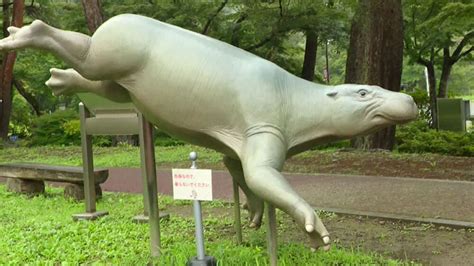 海獣が埼玉に⁉︎かつて日本に実在していた、驚きの生物たち｜tbsテレビ