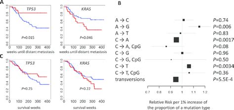 Association Between Genomic Features And Clinical Outcomes A The