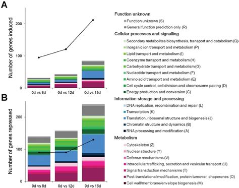 Numbers Of Genes Up And Down Regulated During Ageing Of Pea Seeds