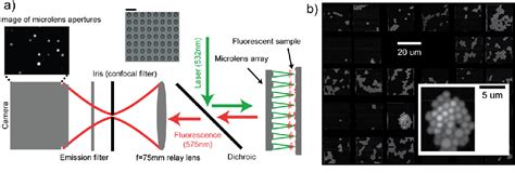 Figure 1 From Scanning Confocal Microscopy With A Microlens Array