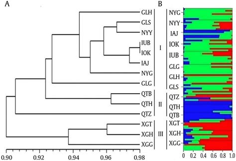 Upgma A And Structure B Dendrograms For Haloxylon Ammodendron Based