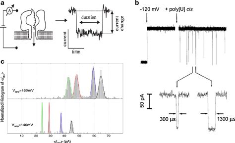 Dna Analysis With Biological Nanopores A General Schematic Of A