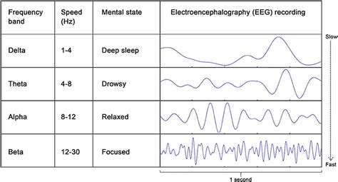 Measuring Brain Waves In The Classroom · Frontiers For Young Minds