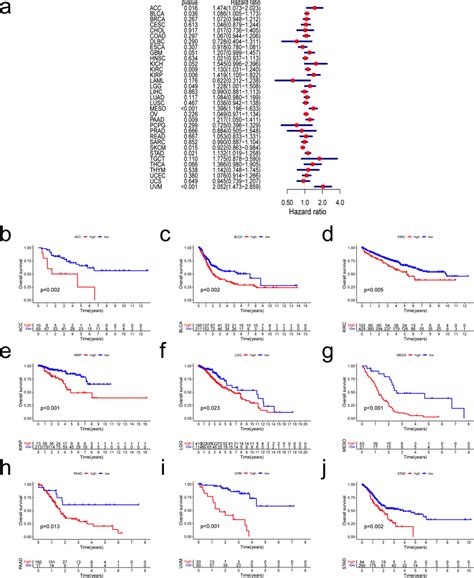 Correlations Between Thbs2 Expression And Overall Survival A