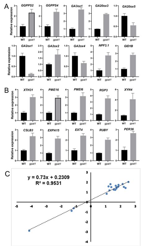 Qrt Pcr Profiling Of Degs Between Wt And Gpat1 Lines A The