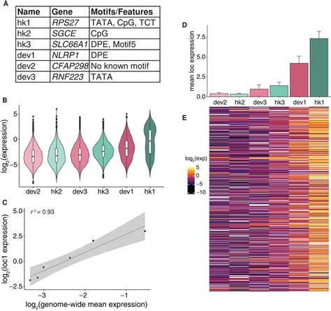 Genomic Environments Scale The Activities Of Diverse Core Promoters