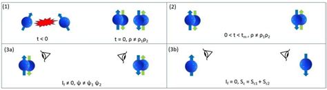 Sketch Of An Entangled Bipartite System 1 Formation Of Correlation