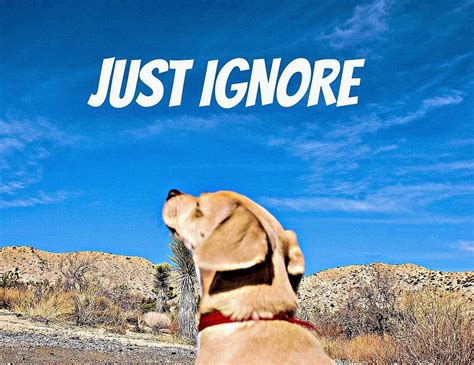 just ignore photograph by angela j wright