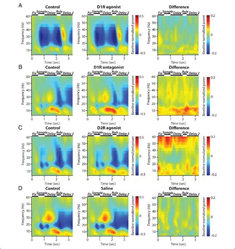 Time Dependent Modulation Of Internally Generated Lfp Power Spectra