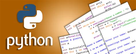 loops in python