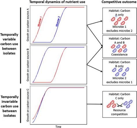 Temporal Variability In Nutrient Use Among Streptomyces Suggests