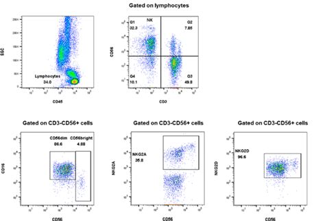 Gating Strategy For Nk Cell Subset Analysis Download Scientific Diagram
