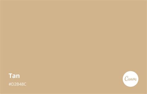 tan meaning combinations and hex code canva colors in