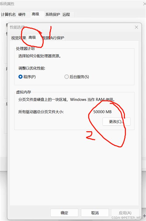 r语言error cannot allocate vector of size xx gb r语言 错误 无法分配大小为50 4 gb的