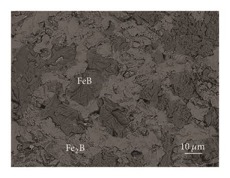 Microstructure Of Investigated B Cr Fe Alloys After Annealing At 1353 K