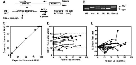 Figure 1 From Long Term Serial Analysis Of X Chromosome Inactivation