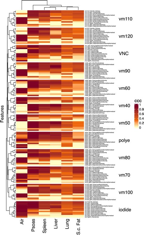 Concordance Correlation Coefficient For Segmentation Resegmentation