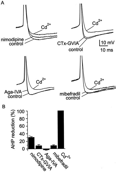 Afterhyperpolarization Regulates Firing Rate In Neurons Of The