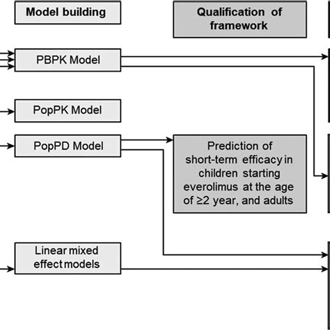 Workflow For Modeling And Simulation Framework Exist‐1 Nct00789828