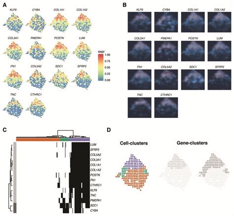 Spatial Expression Patterns Identified In Spatial Transcriptomics
