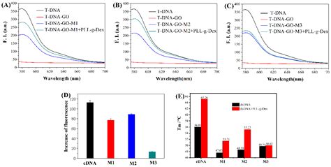 Molecules Free Full Text Fluorescent Dna Biosensor For Single Base
