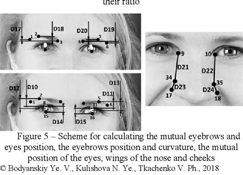 Figure 1 From Feature Vector Generation For The Facial Expression