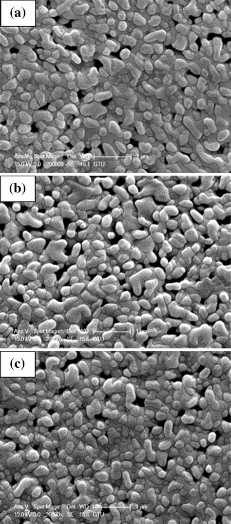 Sem Micrographs Of The Cross Sectional Parts Of The Download