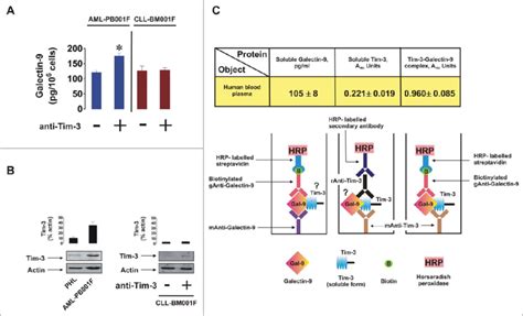 Galectin 9 And Tim 3 Levels In Primary Human Aml Cll And Phl Cells As