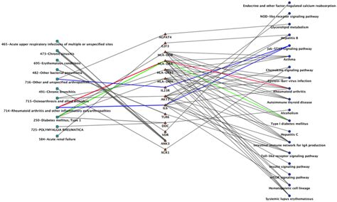 Cytoscape Network Showing The Connections Between Phenotypes The Genes