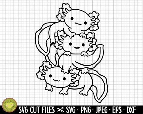 Axolotl Svg Axolotl Png Axolotl Clipart Commercial Use Etsy The Best