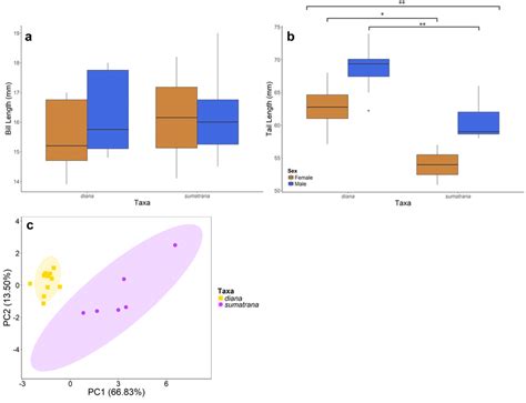 sex specific box plots of morphometric measurements of a bill length