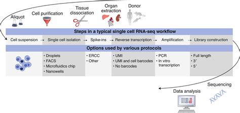 Guidelines For Reporting Single Cell Rna Seq Experiments Gehlenborg Lab