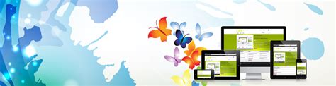 hire web designer hire dedicated web designer emphatic technologies