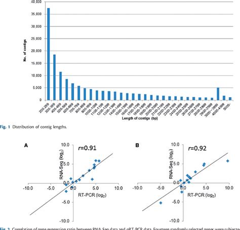 Figure 1 From Global Transcriptome Analysis Of Al Induced Genes In An