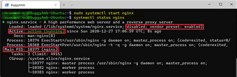 instalar nginx y configurarlo como servidor proxy inverso asp