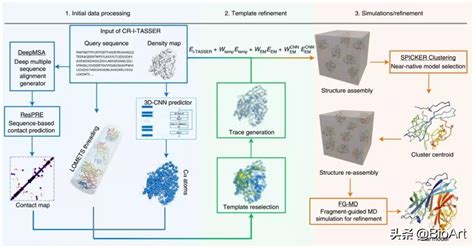 Zhang Yangs Team Reports A New Algorithm For Protein Structure