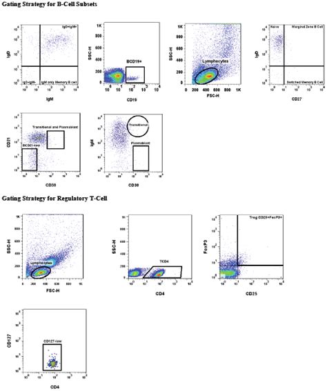 Analysis Of B Cell Subsets And Treg In The Patient All B Cell Subsets