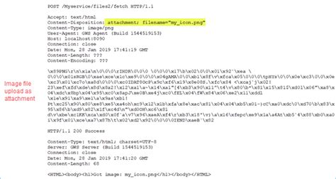 example upload a file in request body