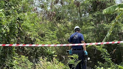泰国中国女留学生虐杀案3名嫌犯被武汉警方逮捕 含视频 手机新浪网