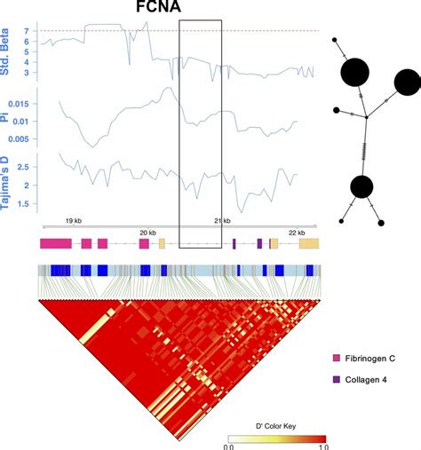 Sliding Window Analysis Of β Std π And Tajimas D Haplotype