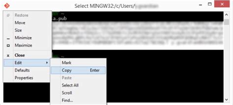 setting up git with dreamweaver and bitbucket for automated website