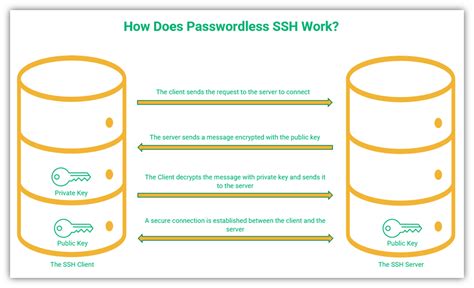 Ssh Passwordless Login Using Ssh Keygen Mac And Linux By 48 Off