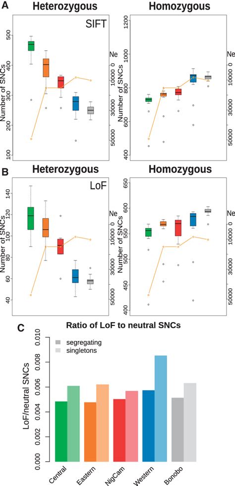 Mutational Load And Lof Variants A Individual Mutational Load In
