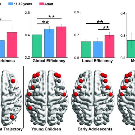 Development Of Brain Asymmetry A Differences Between The