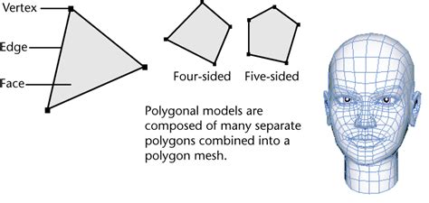 polygonal modeling